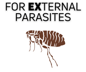 Poultry external parasites 5 – Comvet Animal Health