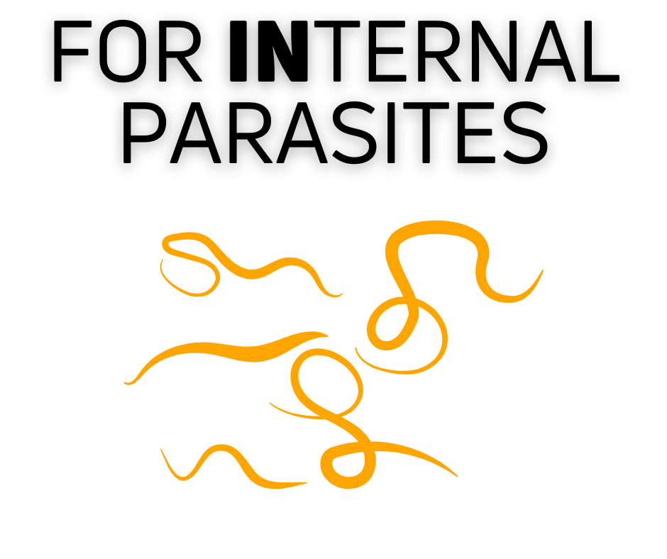 Poultry internal parasites 5 – Comvet Animal Health