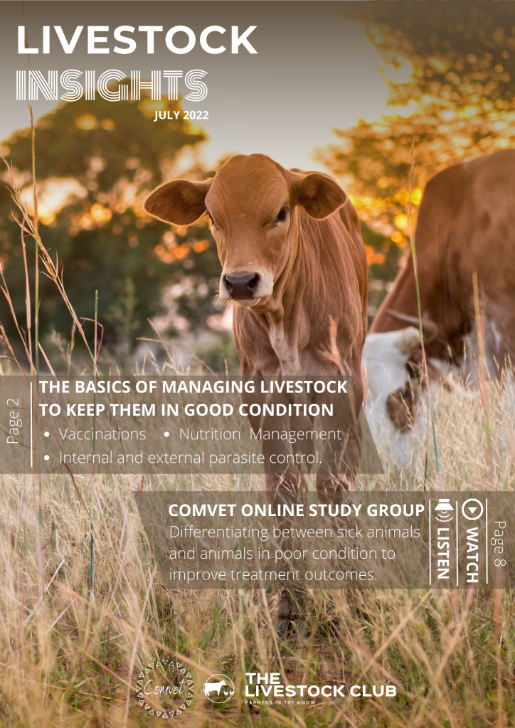 Livestock insights newsletters – Comvet Animal Health