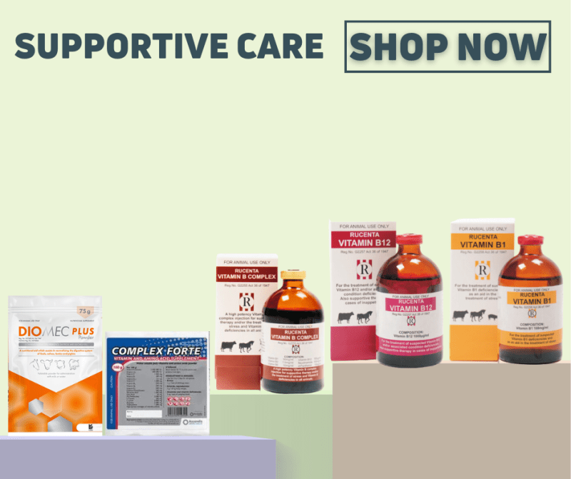 Shop – Comvet Animal Health