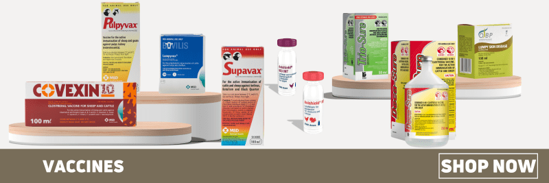 Comvet Animal Health – Helping you farm better.