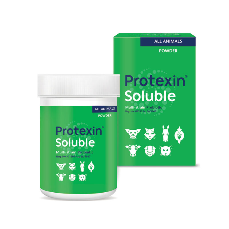 Protexin Soluble – Comvet Animal Health